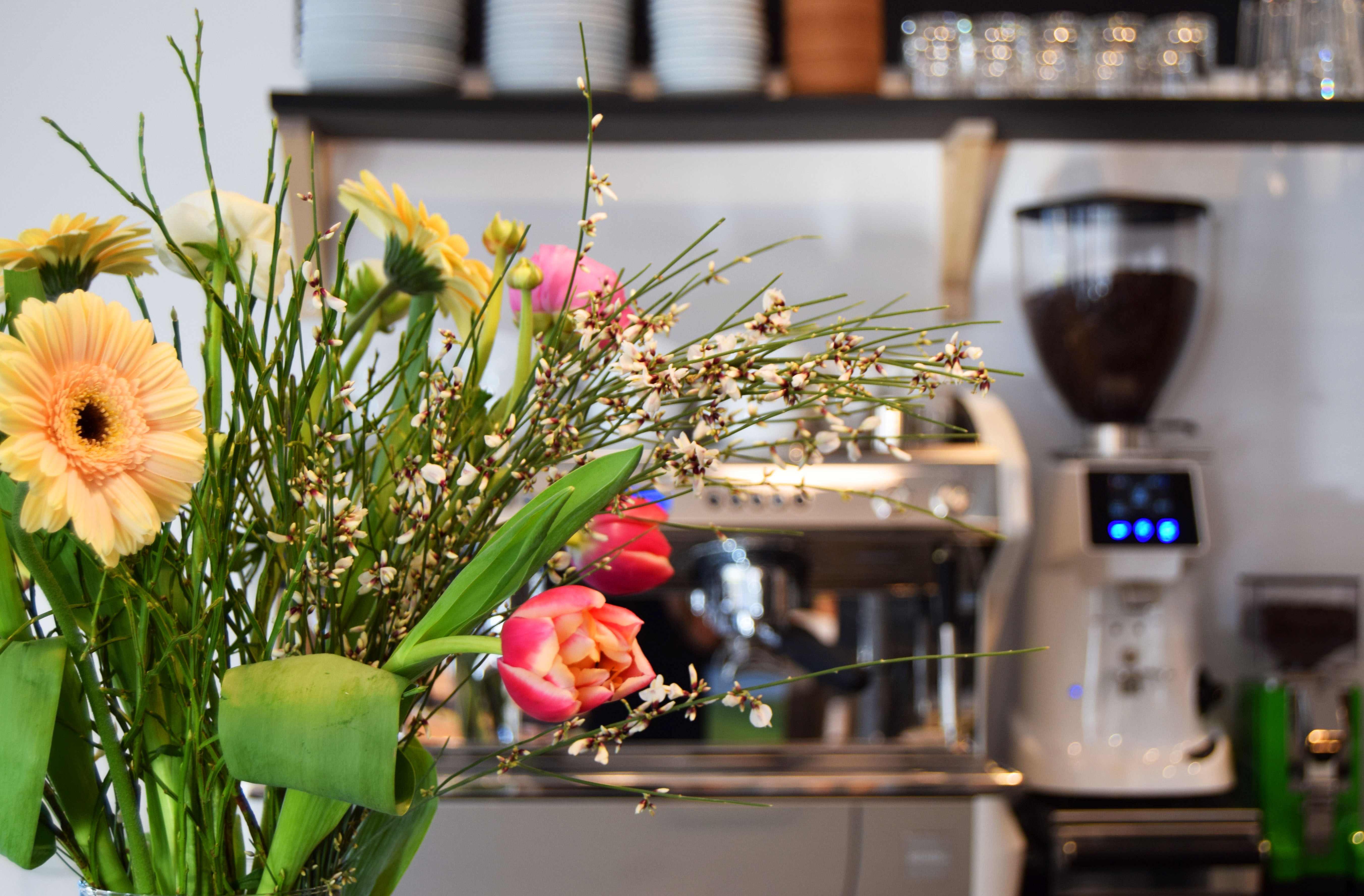 Das Café Ohne Umweg – Ohne Umweg